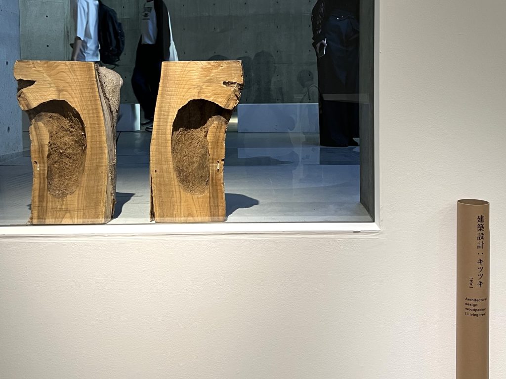 「Material, or 」 – Yan's diary