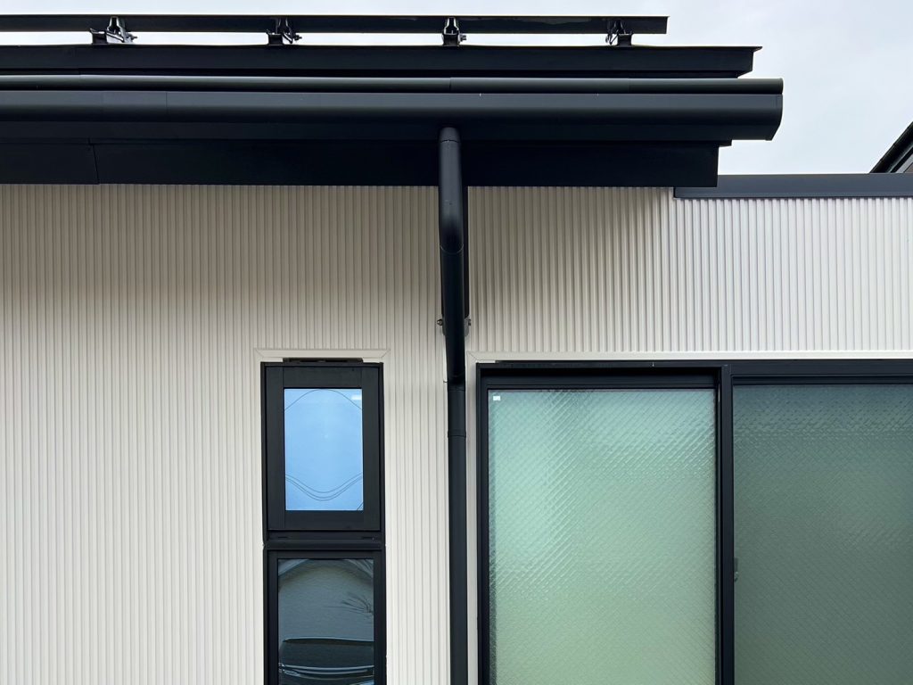 2024年2月 – Yan's diary